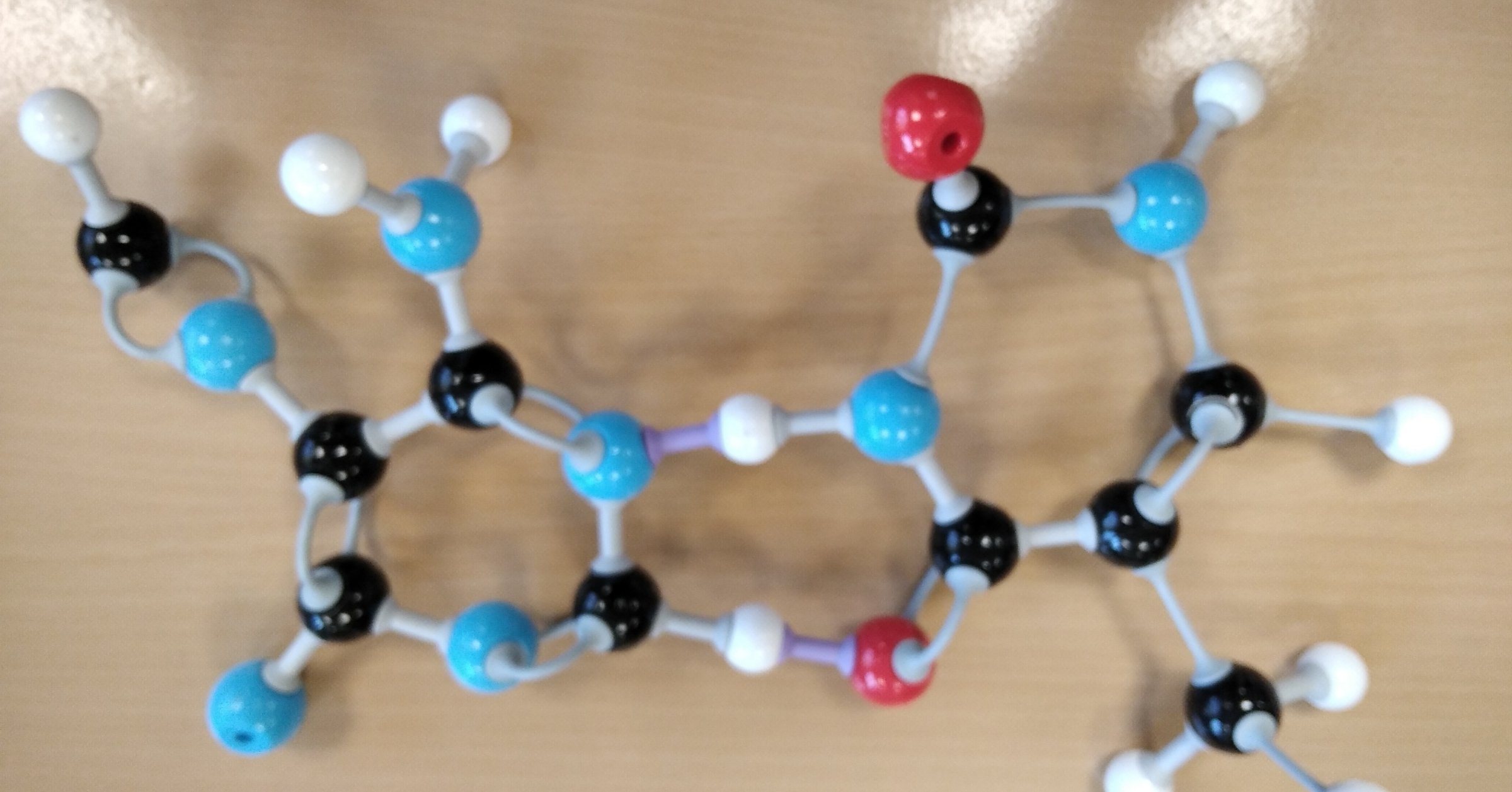 DNA Modelle selbst gebaut!